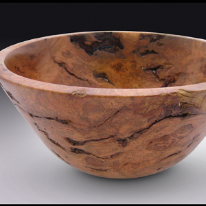 Fitchburg Agora Art Fair -Artists-