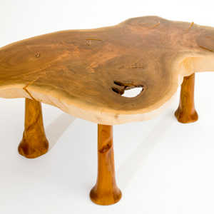 Fitchburg Agora Art Fair -Artists-