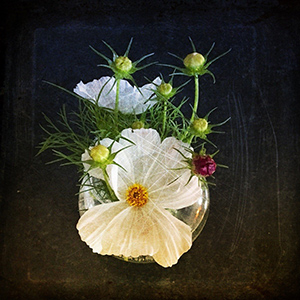 Fitchburg Agora Art Fair -Artists-