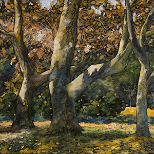 Fitchburg Agora Art Fair -Artists-