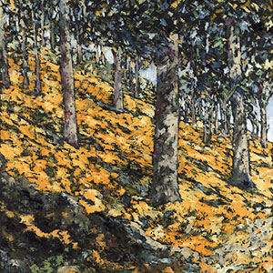 Fitchburg Agora Art Fair -Artists-