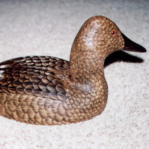 Fitchburg Agora Art Fair -Artists-